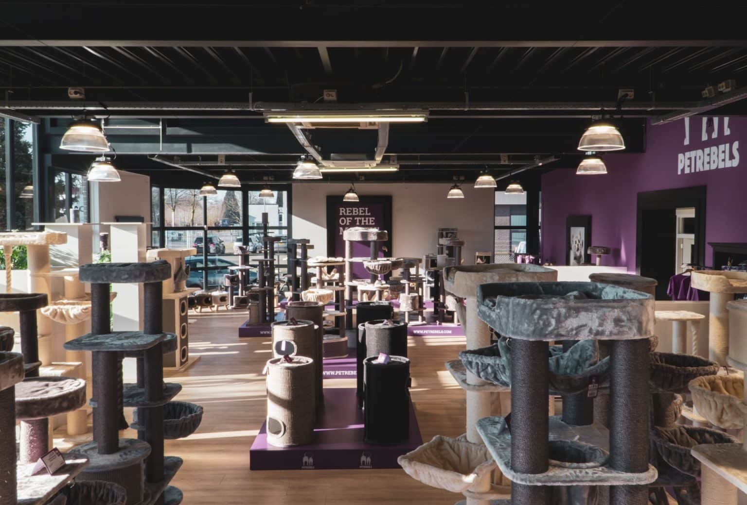 Pet Owner's Guide to Using a Storage Unit - EasyStorageSearch.com